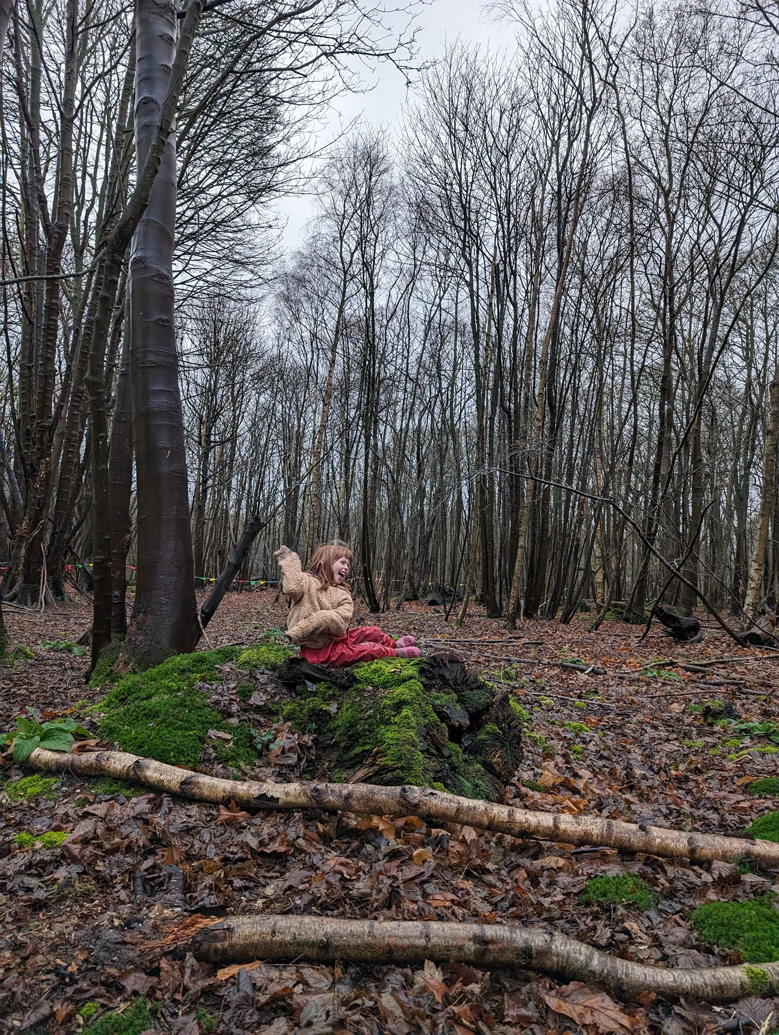 2024 Worlingham Rocks – Kinda Elders in the woods